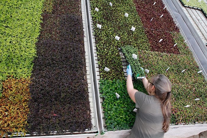 About Us | Peace Tree Farm | Bucks County PA