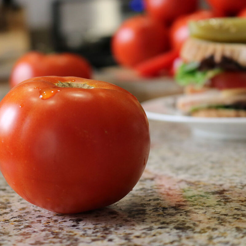 Tomato 'Celebrity' - Peace Tree Farm